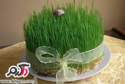 نکات کاربردی در مورد سبز کردن سبزه از زبان مادربزرگها