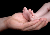 پیش از تولد کجا هستیم؟