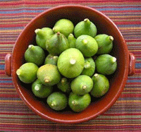 اطلاعاتی چند در مورد انجیر