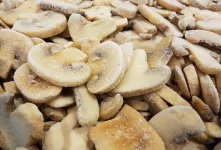 دانلود صدای گوز : 10 نوع مختلف صدای گوزیدن و باد معده